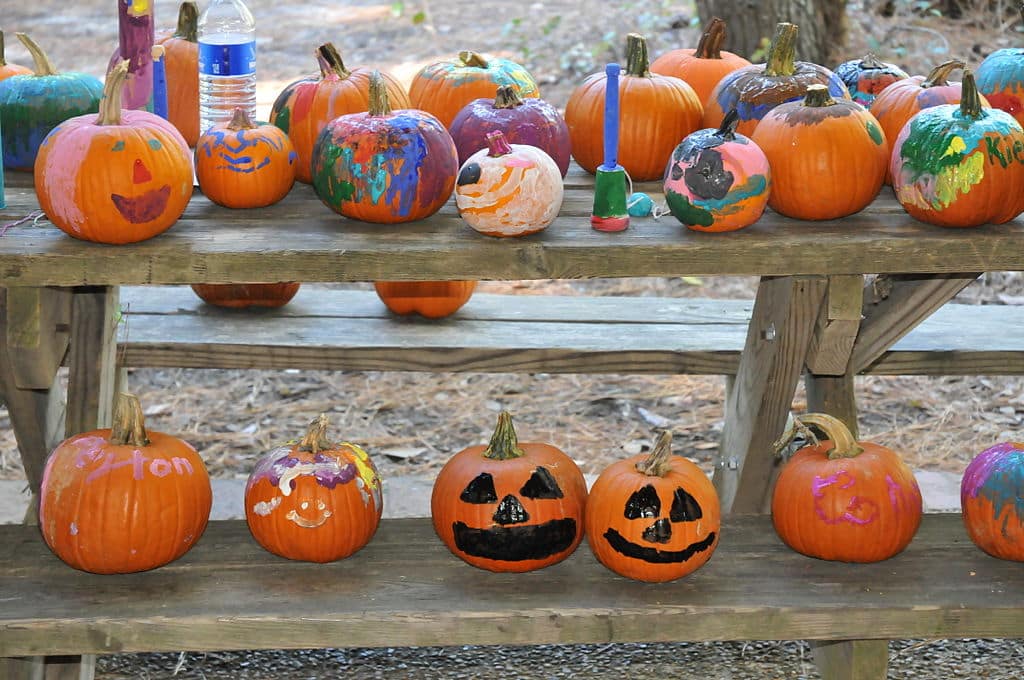 Planning a Fall Festival: Essential Guide | Doodie Calls